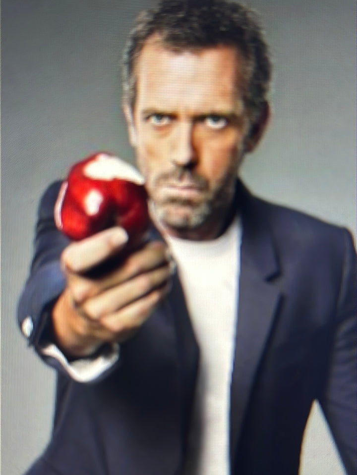 HOUSE MD – HOLLYWOOD PICTURES STUDIOS, LLC.
